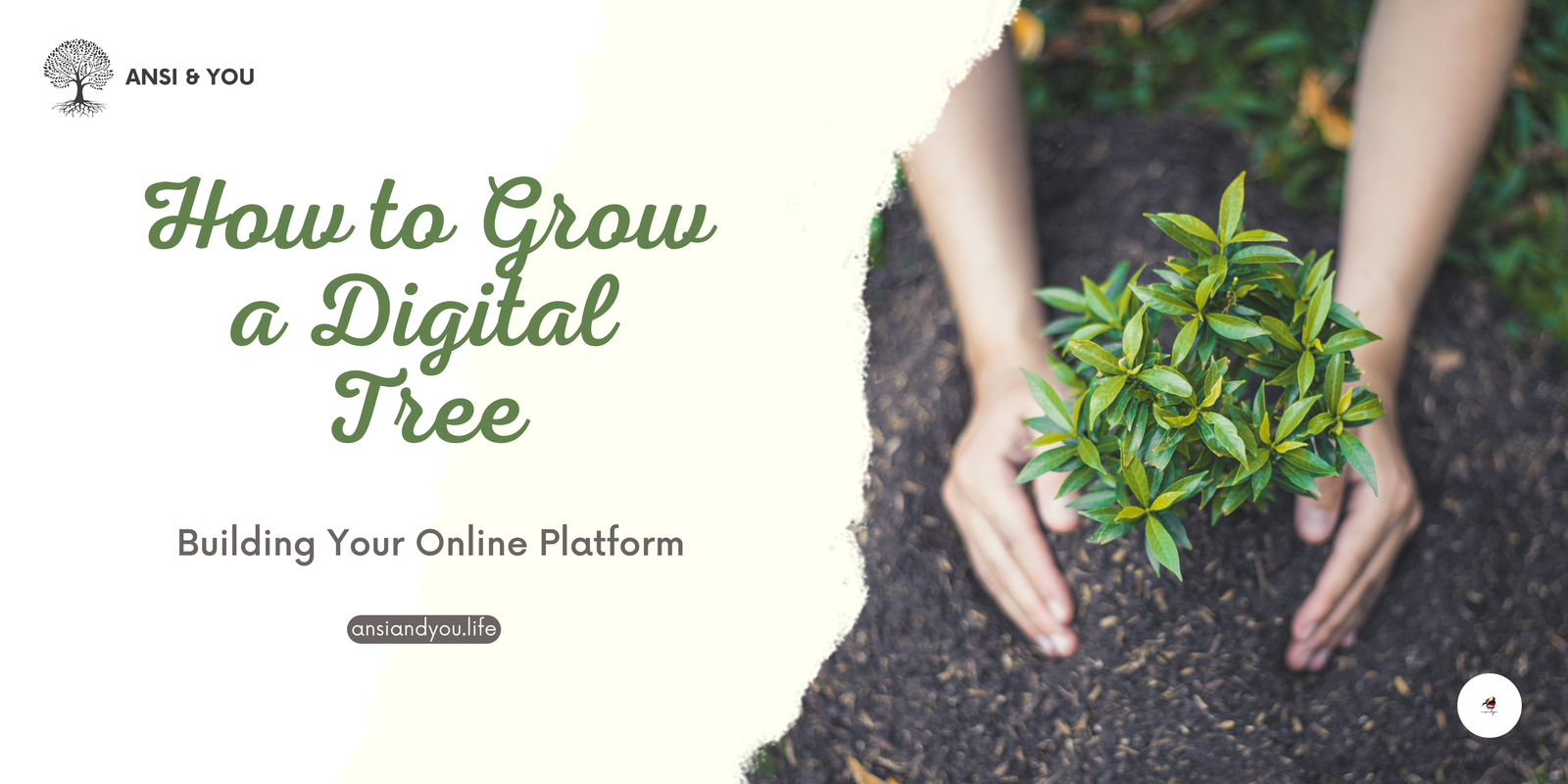 How to Grow a Digital Tree: Building Your Online Platform - ansiandyou®